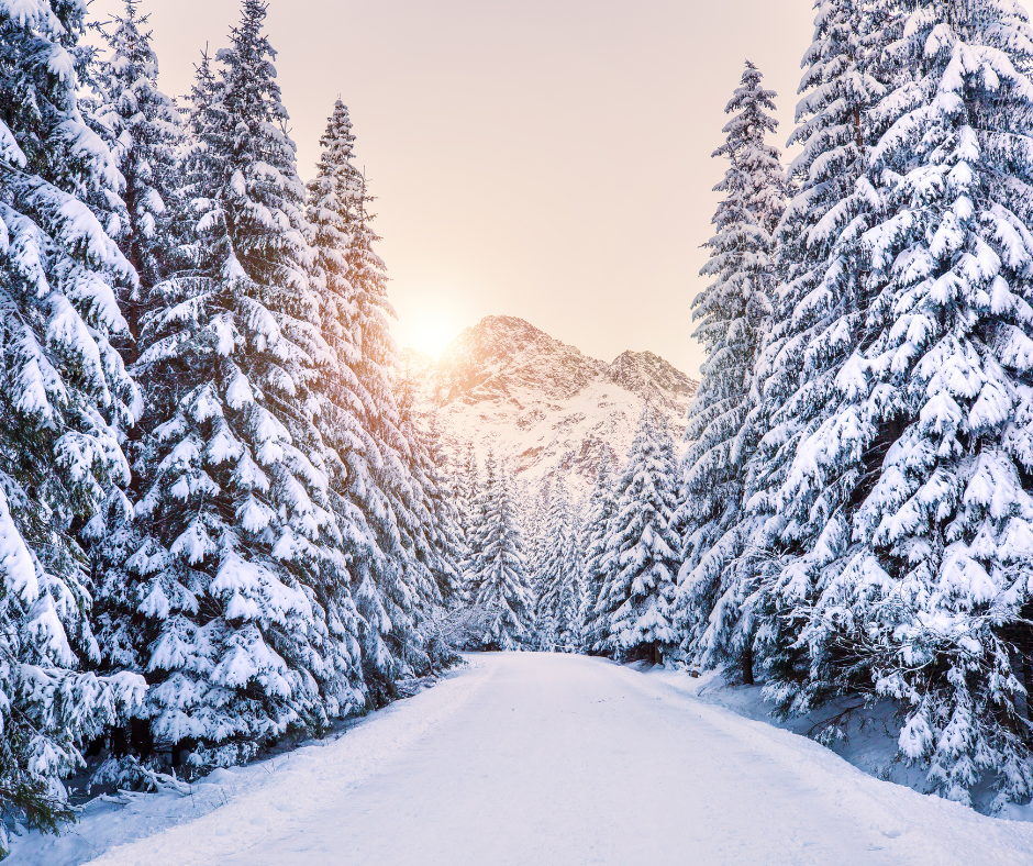 Did you ever wonder who Parson Brown is in the song “Winter Wonderland ...